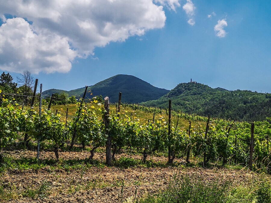From Bobbio to Genoa along another "Salt Road”