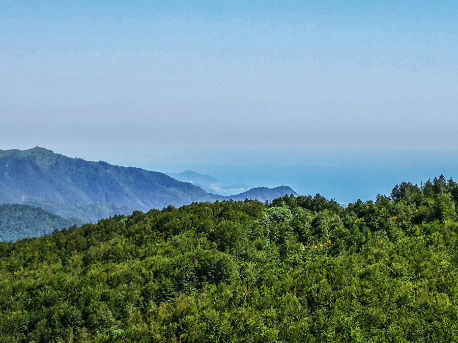 From Bobbio to Genoa along another "Salt Road”