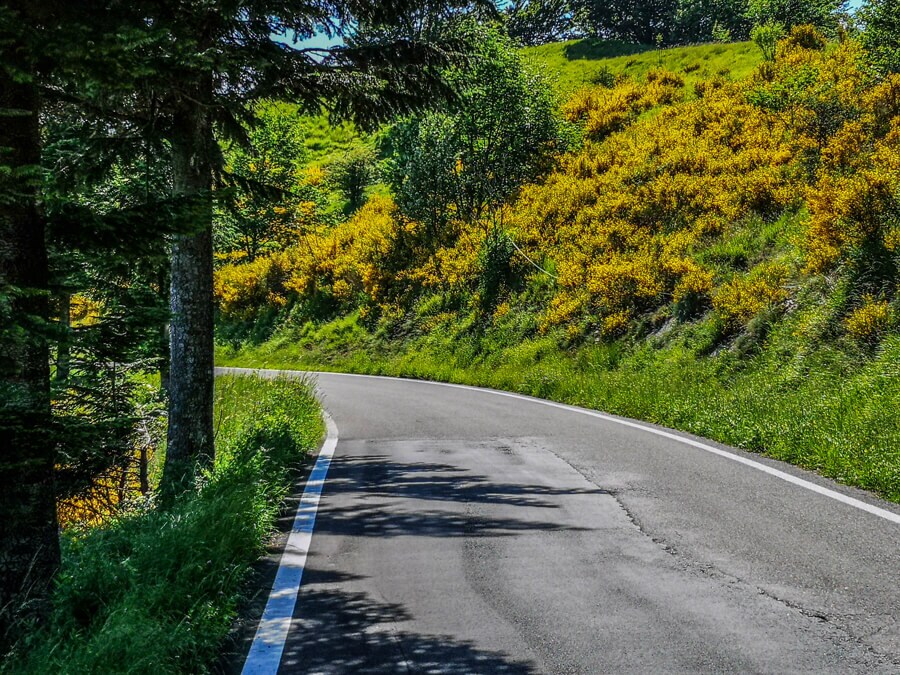 From Bobbio to Genoa along another "Salt Road”